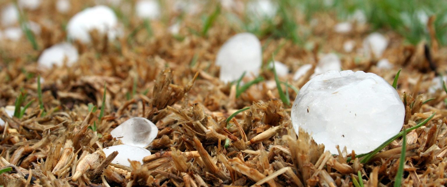 Risk of Hail Damage - RiskWatch